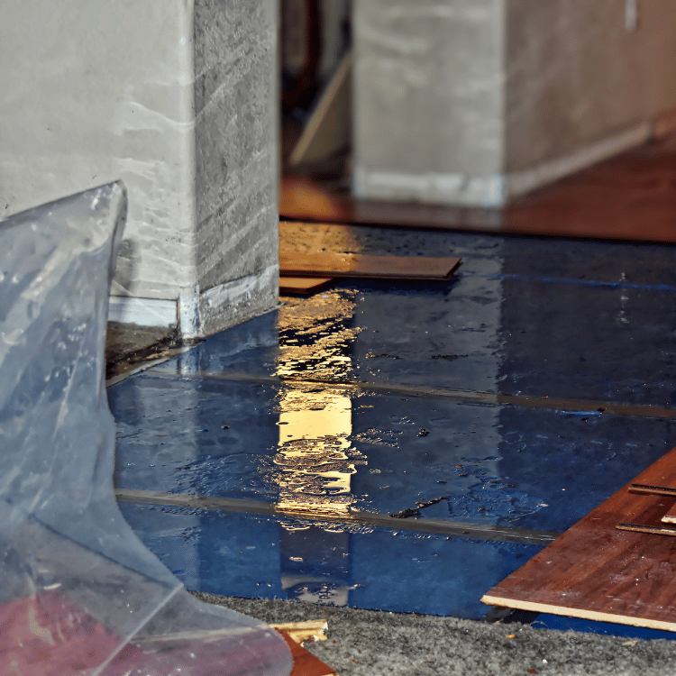 5 Surprising Signs You Need Water Mitigation ASAP - KP Restorations