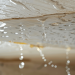 Expert Water Mitigation Services in Macon, Georgia